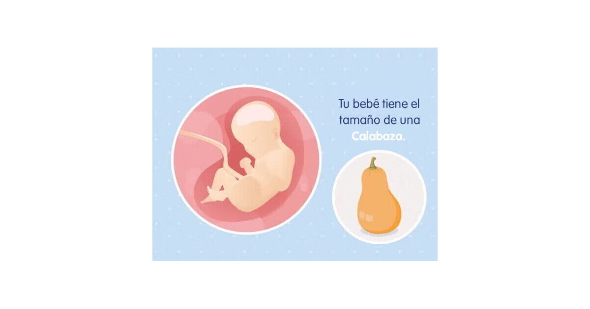 ¡Llegaste a las 29 semanas de embarazo! | Nestlé FamilyNes Chile