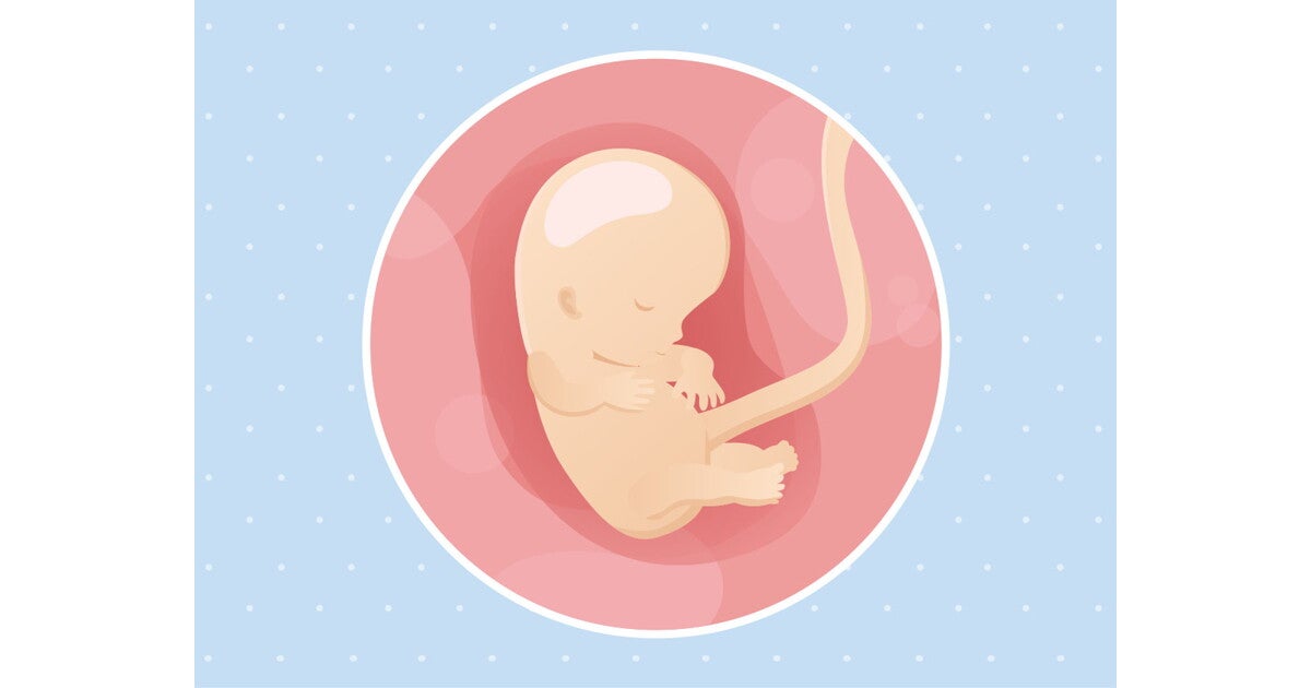 10 semanas de embarazo| Etapas de desarrollo| Nestlé FamilyNes Chile