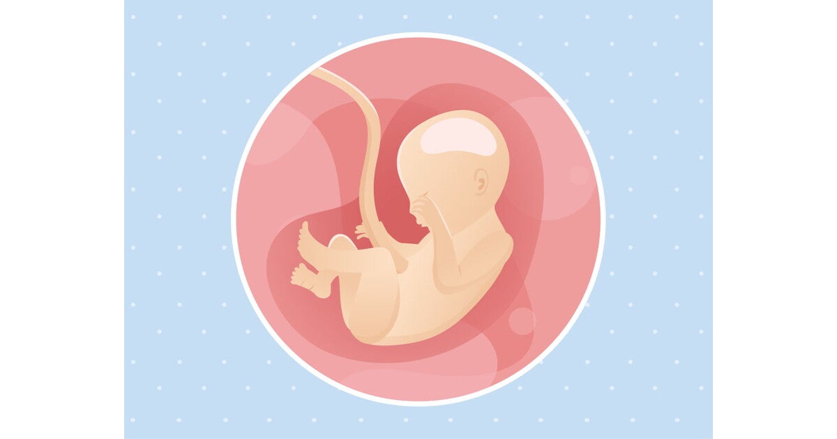 22 Semanas De Embarazo Barriga Primer Bebe Semana A Semana, Así Se